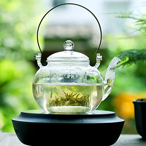 【2025年最新レビュー】IwaiLoft 耐熱ガラス ティーポット IW-G230315の口コミ・評判を比較